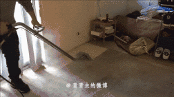 神奇世界看看看第205季