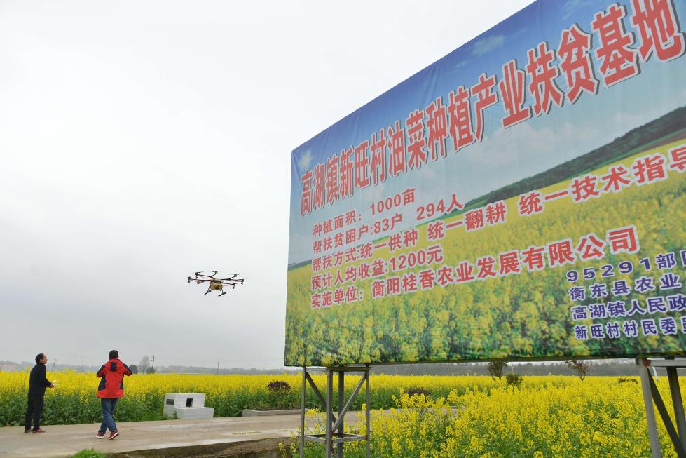 扶贫基地的智慧农业 无人机进行病虫害防治